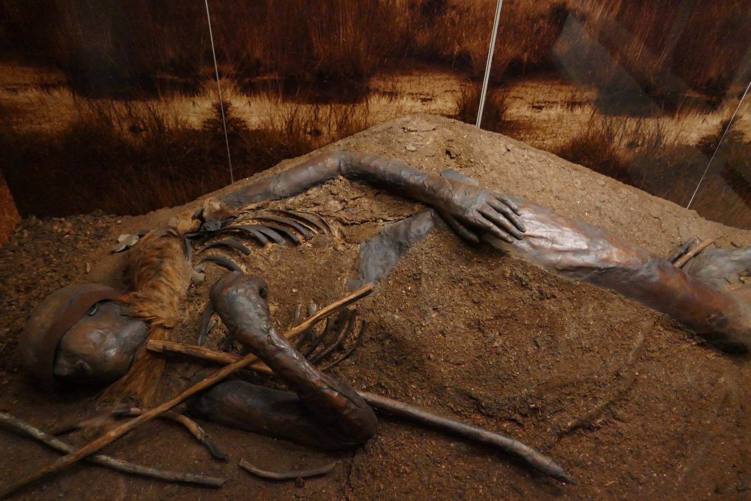 Die erfundenen Moorleichen des Alfred Dieck - Wunderkammer der ...